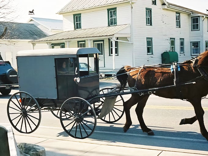 The classic Amish buggy &ndash; Pennsylvania's original eco-friendly vehicle, running on hay power since before Tesla was cool.
