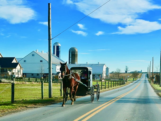Talk about rush hour! This Amish carriage cruises under endless blue skies&mdash;Lancaster's version of a convertible ride.