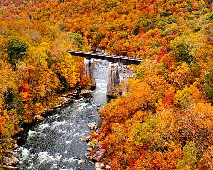 This bridge isn't just crossing water&mdash;it's connecting you to the most spectacular autumn show Pennsylvania has to offer.