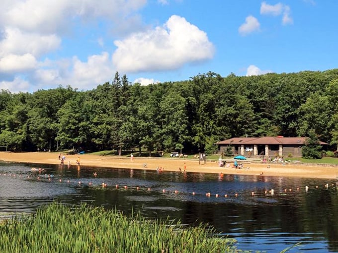 Summer bliss defined: families dotting the sandy shore while tall pines stand guard over Lyman Run's crystal waters.