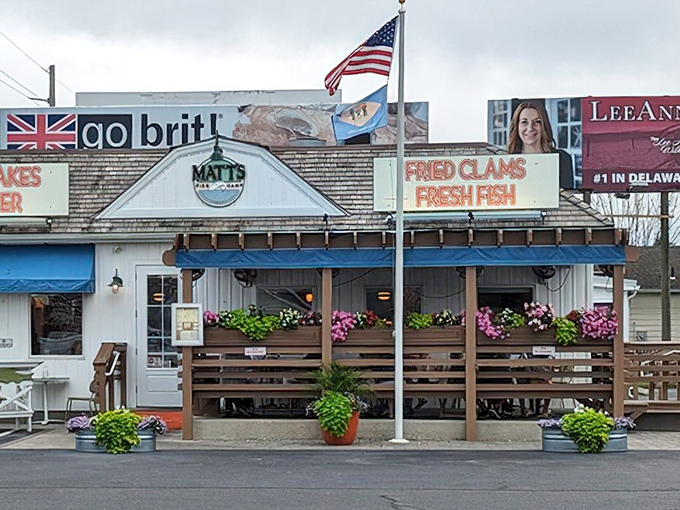 The American flag waves proudly outside Matt's Fish Camp, where the seafood is so fresh you'll swear you can smell the ocean breeze.
