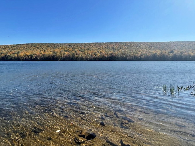 Nature's perfect stress reliever: clear mountain water lapping against a shoreline that makes you forget you're in Pennsylvania.