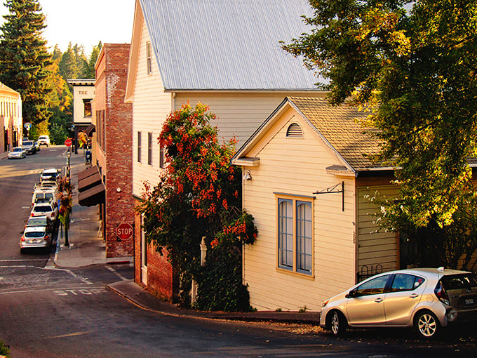 Those charming houses whisper tales of gold rush dreams and Sunday morning coffee rituals.