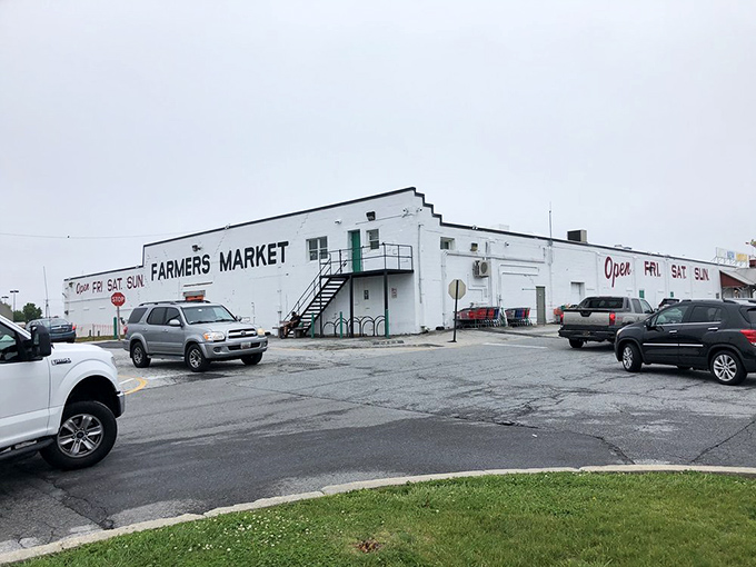 Three days of treasure hunting await inside this sprawling white building where deals are always in season.