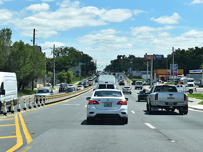 Ocala's wide boulevards and blue skies welcome you home. Where Florida living comes with elbow room to spare.