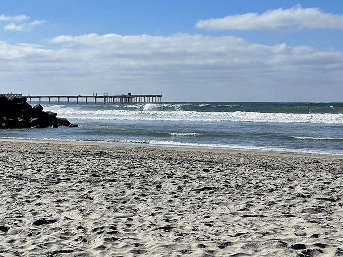 Ocean meets sand at this dog paradise. The pier in the distance promises adventures, but Fido's already found his happy place.