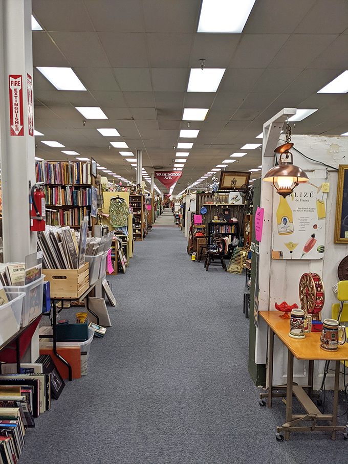 Books, collectibles, and vintage finds line these endless corridors. It's like a museum where everything has a price tag.