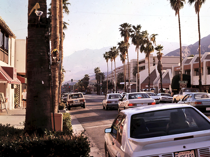 Classic cars cruise past towering palms - it's like stepping into a 1960s postcard.