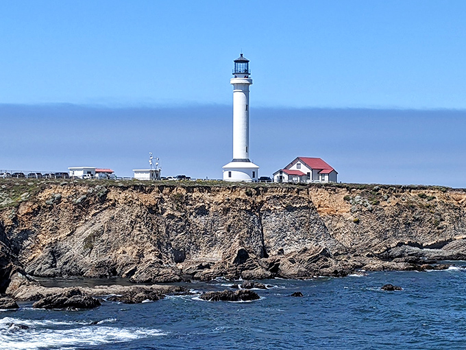 The classic white tower of Point Arena rises from the headland, a postcard-perfect scene that's been guiding mariners since before movies had sound.
