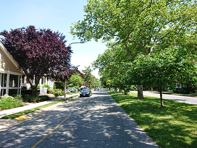 Rehoboth Beach: Tree-lined streets where shade and charm come standard. Like a Norman Rockwell painting with better parking options.