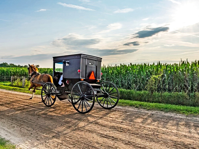 Rush hour in Shipshewana looks a little different. This classic buggy against golden cornfields is the original eco-friendly transportation&mdash;running on oats, not octane!