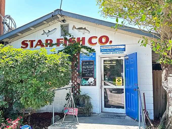 That bright blue door says "come on in" while the fish decorations promise the real deal inside.