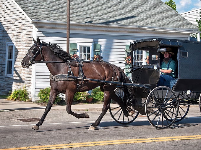 The classic Amish buggy &ndash; transportation that never needs a software update or runs out of gas, just hay and the occasional carrot!