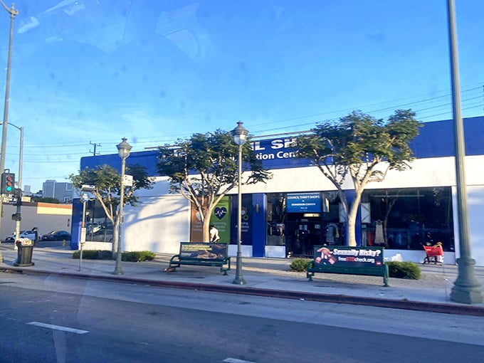 Step inside this blue-and-white wonderland where yesterday's castoffs become tomorrow's conversation pieces. The thrill of the hunt begins here!