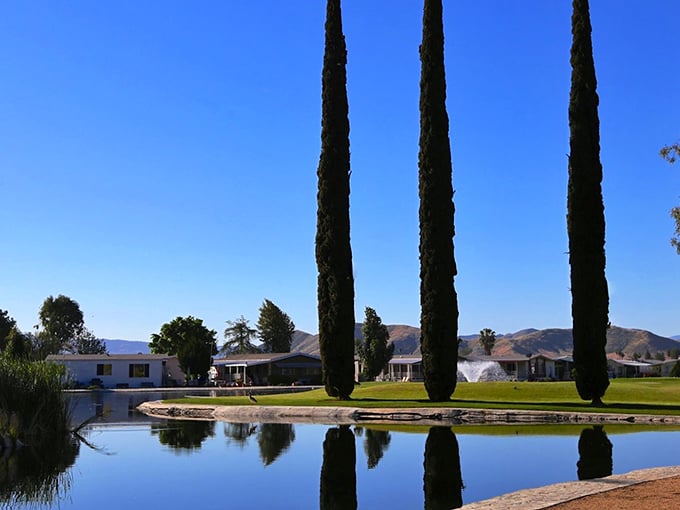 Tall cypress trees stand sentinel by the community pond. Their reflection creates a Monet-worthy scene that comes with your reasonable HOA fees.