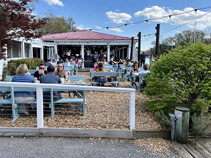 Sun-dappled tables filled with happy diners – The Point's outdoor seating is where memories and crab mallets collide.
