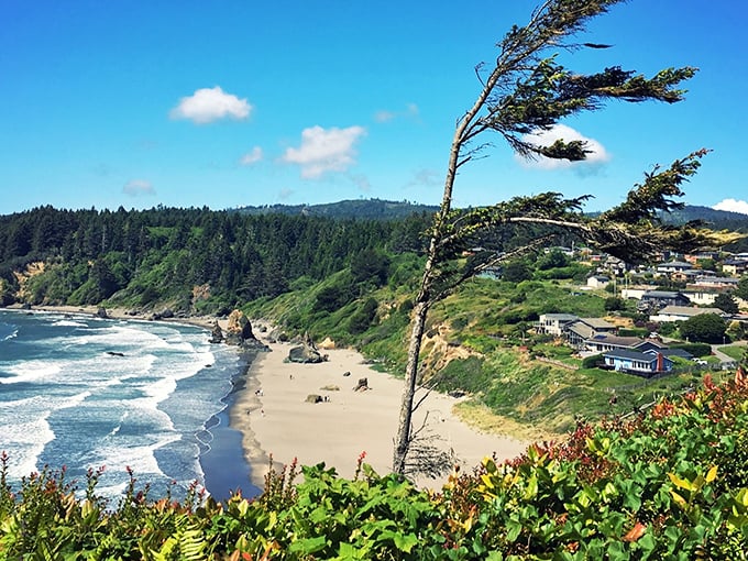That windswept tree tells the whole story of Trinidad's wild beauty &ndash; nature's perfect sculpture garden meets surfer's paradise.