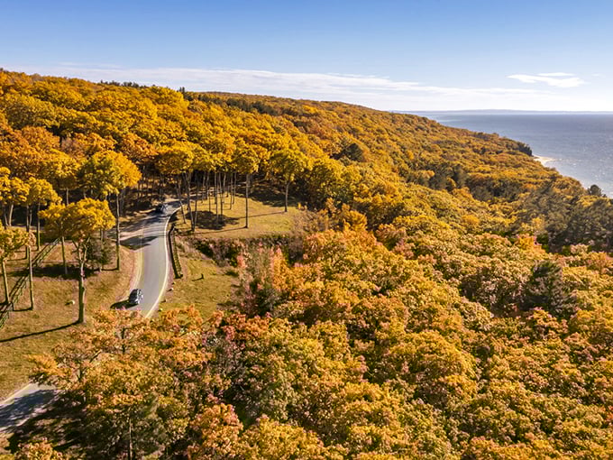Winding through autumn's embrace, M-119 offers a front-row seat to Lake Michigan's blue horizon beyond the golden canopy.
