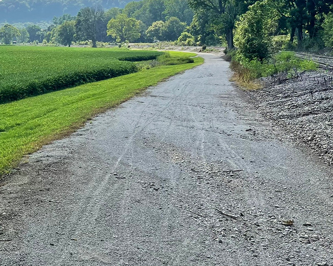 This gravel path along the Whitewater Canal whispers stories of canal boats and simpler times. History never looked so peaceful!