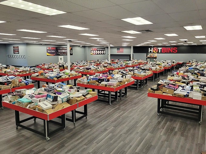 Red-rimmed bins stretch toward retail infinity, a cardboard sea where yesterday's overstock becomes tomorrow's treasure. Like archaeological digs for the modern bargain hunter.