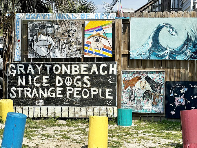 "Nice Dogs, Strange People" isn't just a slogan—it's Grayton Beach's perfect mission statement. The colorful art wall captures this community's delightfully quirky soul.