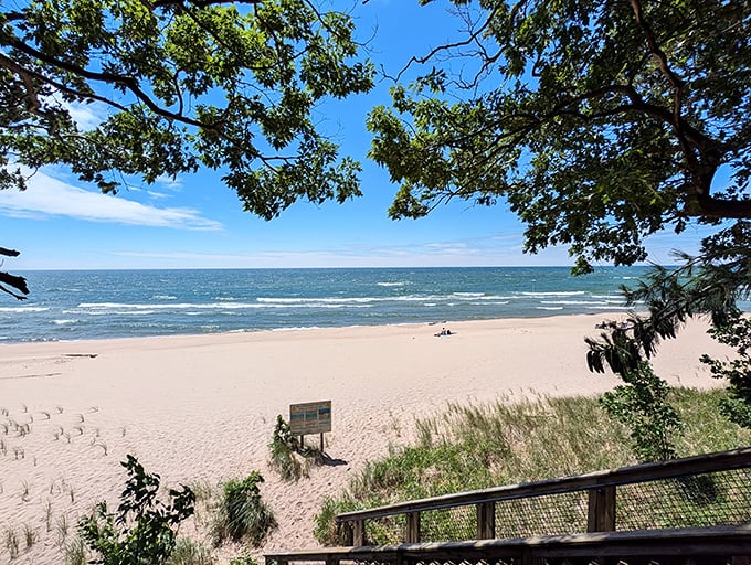 Nature's front-row seats to Lake Michigan's endless blue canvas, framed by the gentle embrace of dune grasses and towering trees.
