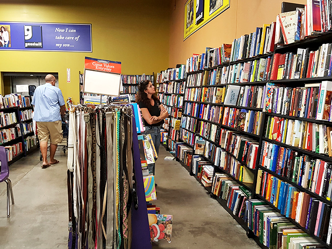 Literary heaven awaits bibliophiles between these shelves. One person's discarded beach read becomes another's late-night page-turner in this thrifter's library.