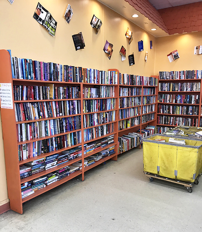 Bibliophiles, prepare to lose track of time! These meticulously organized shelves hold literary adventures at prices that make Amazon weep.