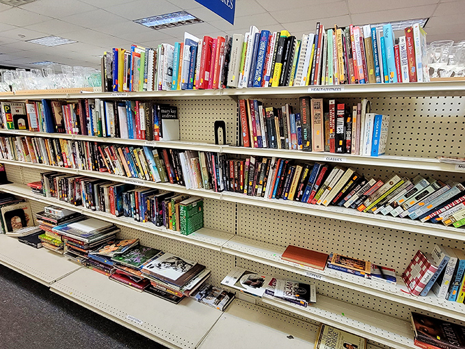 Literary heaven awaits between these shelves. From bestsellers to obscure gems, each book represents someone's adventure waiting for its next reader.