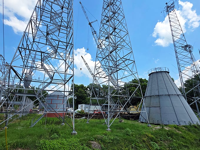 From this angle, you can see how the structure creates its own ecosystem of steel and sky&mdash;engineering meets imagination.