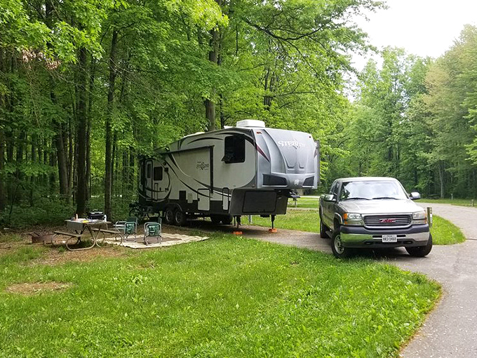 Camping nirvana achieved! This tree-lined site transforms ordinary weekends into episodes of "The Great Outdoors"—minus the bears.