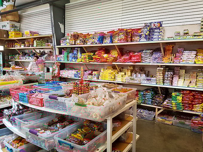 Sweet tooth paradise or candy apocalypse? Either way, this technicolor sugar explosion would make Willy Wonka himself stop and take inventory notes.