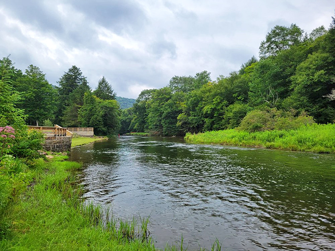 Moody skies create dramatic backdrops for the river's gentle journey. Even on cloudy days, this hidden gem sparkles with untamed Pennsylvania beauty.