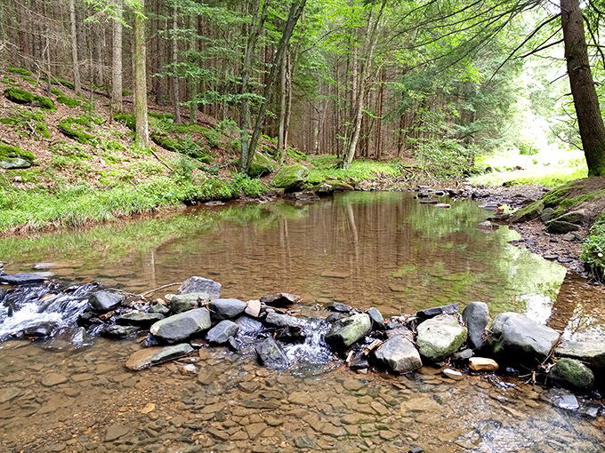 Crystal clear waters reveal every pebble beneath the surface. Mother Nature showing off her transparency policy in full effect!