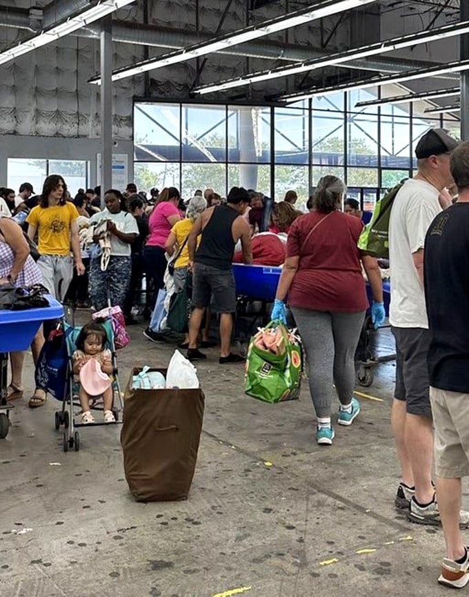 Treasure hunters in their natural habitat. Like paleontologists carefully excavating fossils, these shoppers know patience and persistence pay off in the blue bin jungle.