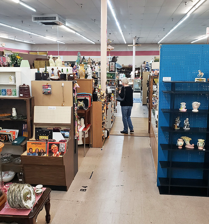 The thrill of the hunt! Shoppers navigate aisles packed with treasures from every era, never knowing what nostalgic gem awaits around the corner.