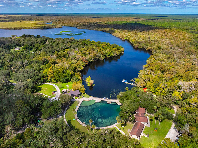 From above, nature's masterpiece looks like Mother Earth spilled her watercolors across the canvas of central Florida.