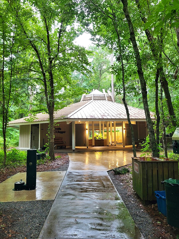 This isn't your average park welcome center. The distinctive pavilion-style visitor center blends harmoniously with its forest surroundings, like a mid-century modern treehouse.