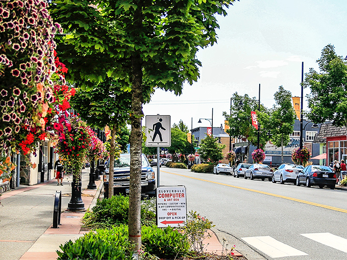 Downtown blooms aren't just pretty faces &ndash; they're Cloverdale's version of a welcome committee. Even the pedestrian crossing signs look happier here.