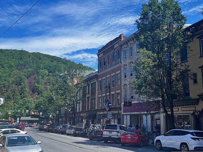 The mountains cradle downtown Jim Thorpe like protective parents, their green slopes providing the perfect backdrop for this architectural time capsule.