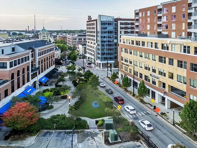 A bird's-eye view of downtown's urban oasis, where green space breaks up the brick and mortar like nature's coffee break.