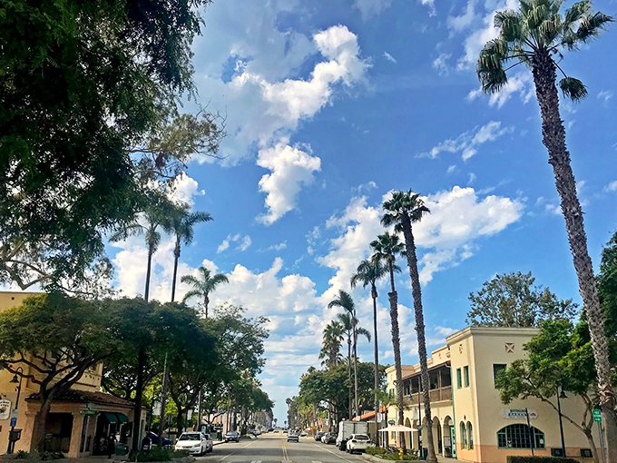 Palm trees line the sunny street as charming shops and historic buildings create a warm inviting atmosphere perfect for a stroll.