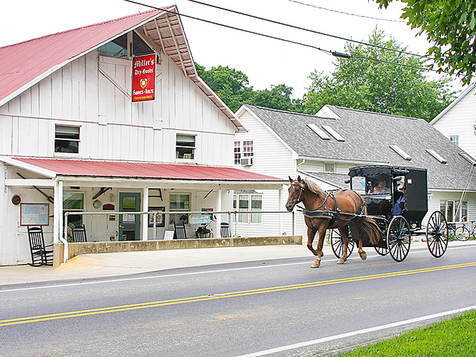 Horse and buggy passing Miller's Dry Goods—where "rush hour" means something entirely different and Amazon Prime is measured in hoof-beats.