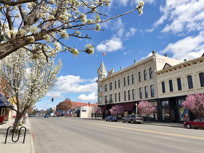 Spring blossoms frame Joseph's historic buildings. Main Street maintains its century-old charm while offering modern comforts for today's visitors.