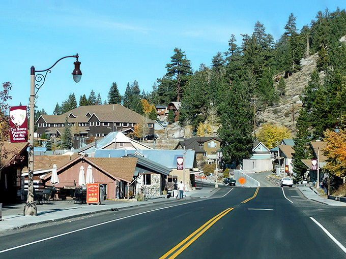 Main Street simplicity at its finest. In June Lake, traffic jams involve waiting for a family of ducks to cross the road.