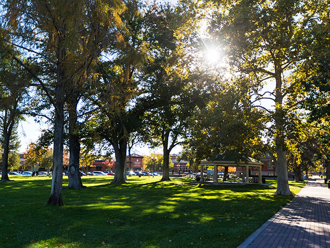 The city park's majestic oaks provide natural air conditioning on hot summer days, where locals gather for concerts and community events.