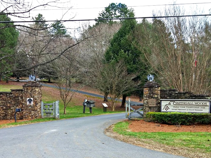 The entrance that whispers, "Leave your stress at the gate." Stone pillars and wooden gates mark the threshold between ordinary life and woodland magic.