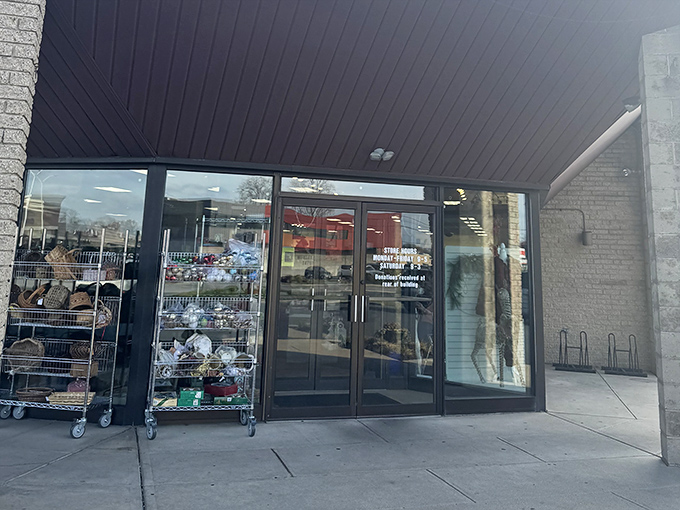 Shopping carts loaded with possibilities wait outside like faithful companions ready for adventure.