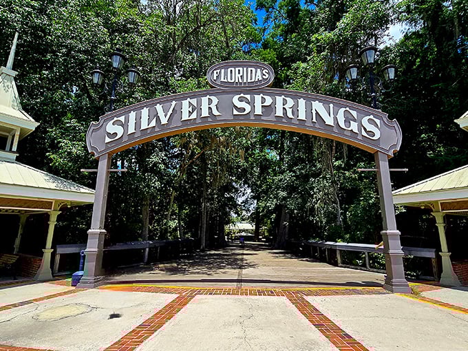 Step through this iconic entrance arch and leave your worries behind &ndash; you're now entering Florida's original tourist attraction, predating a certain mouse by decades.