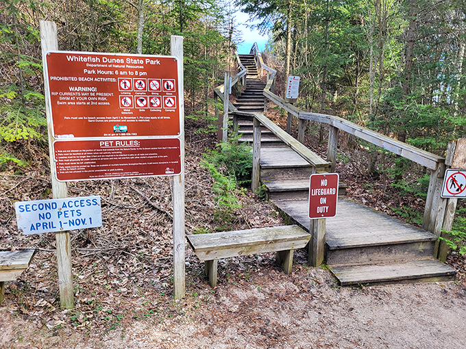 "No lifeguard on duty" is just nature's way of saying "you're an adult now"—navigate these wooden steps to discover your own slice of paradise.